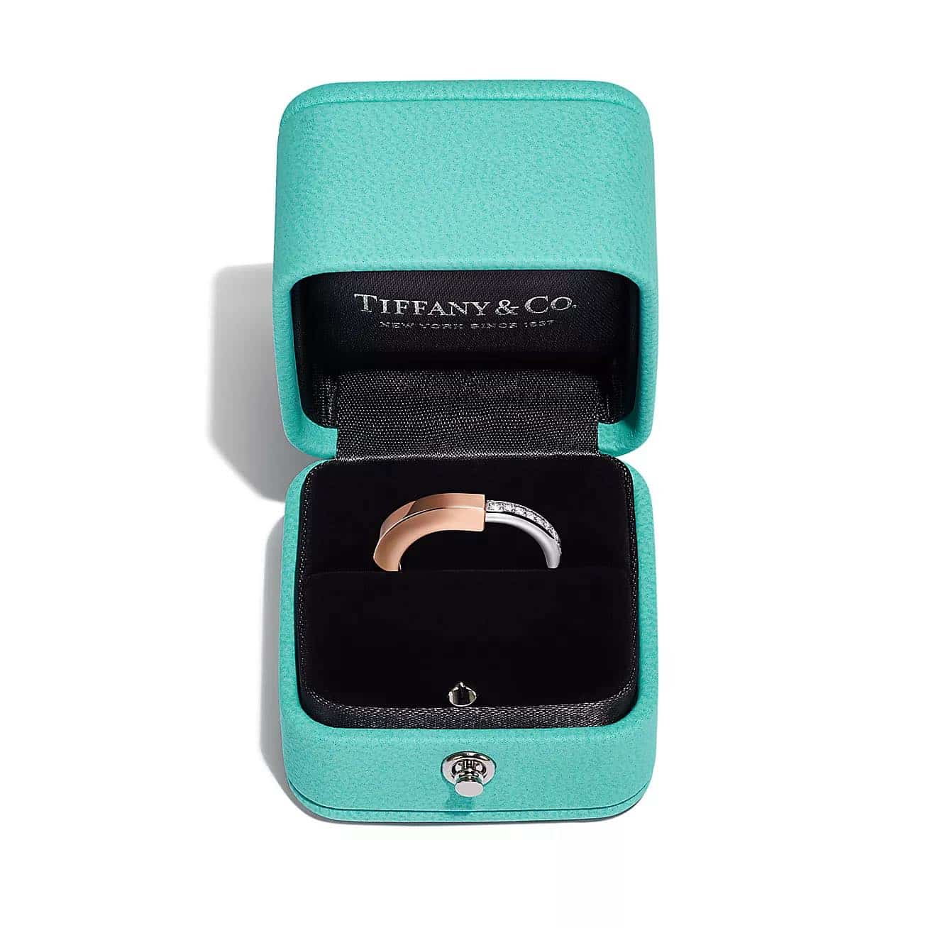 Tiffany Lock, un emblema de amor e inclusividad - High&Beyond